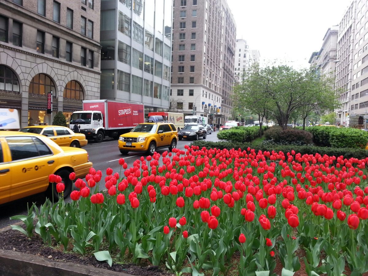 Manhattan's Upper East Side by property broker Wei Min Tan